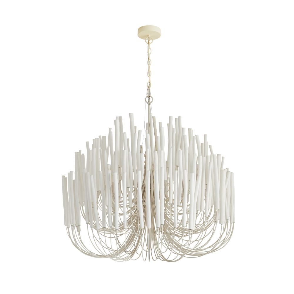 Chandeliers | Design for the PPL